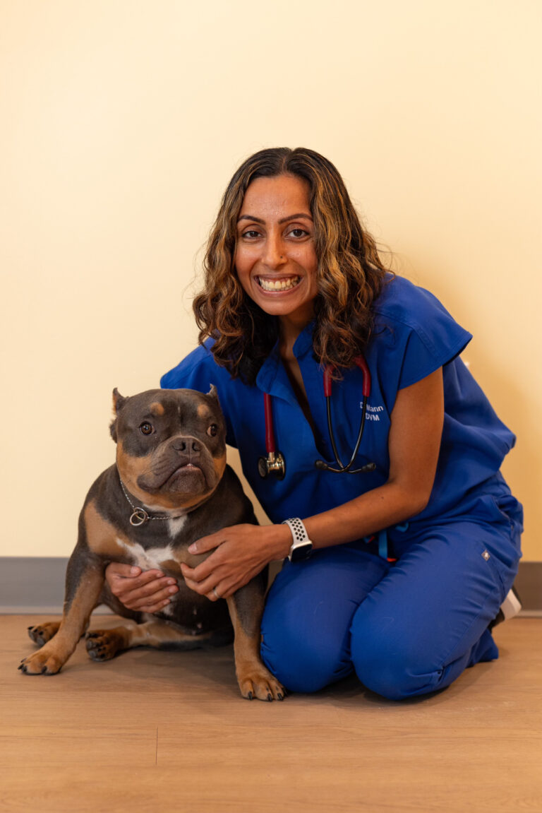 Surgery – Happy Tails Animal Hospital